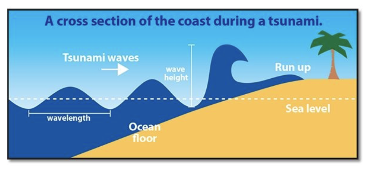 What is a Tsunami, and Why Is It So Destructive? - The Dreidel
